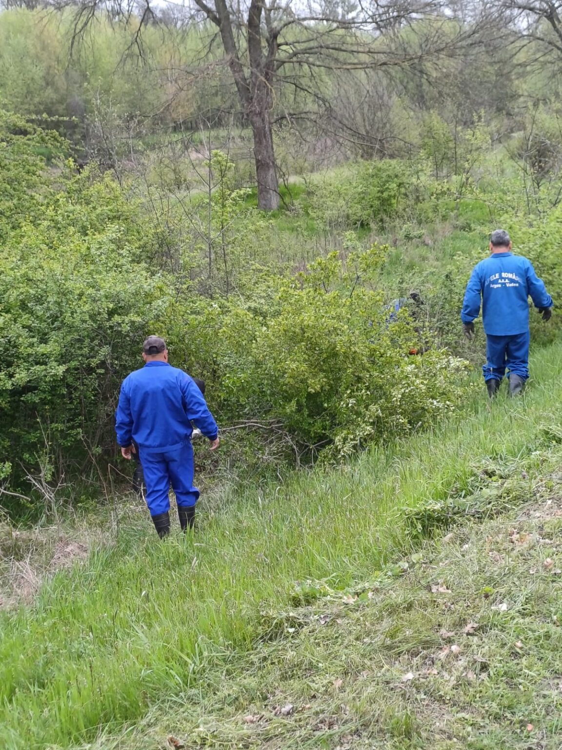 Administrația Bazinală de Apă Argeș-Vedea